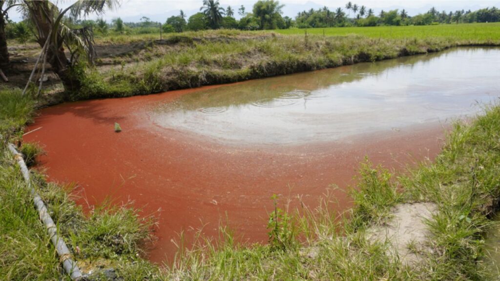 AGRIBEST: EMPOWERING FARMERS, EMPOWERING LIVES - MASS-SPECC Cooperative ...